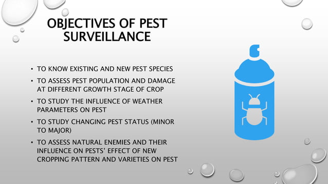 Common sampling techniques in insect pests | PPTX