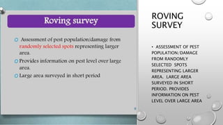 Common sampling techniques in insect pests | PPTX