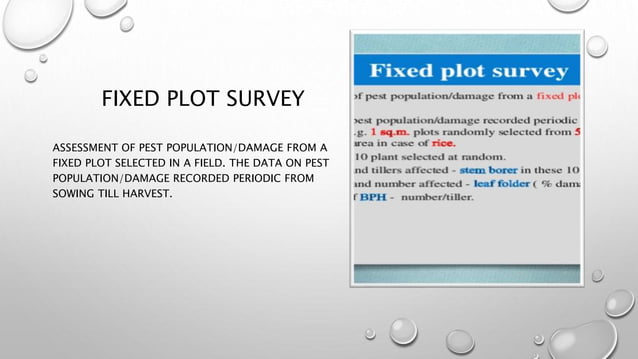 Common sampling techniques in insect pests | PPTX