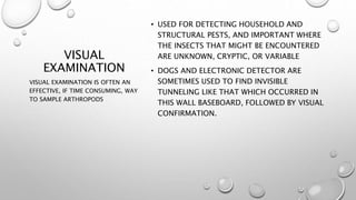 Common sampling techniques in insect pests | PPTX