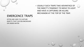 Common sampling techniques in insect pests | PPTX