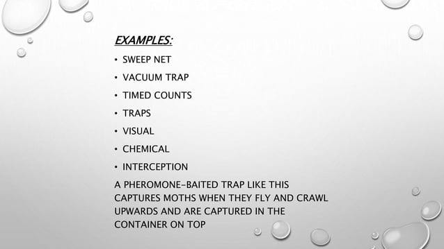 Common sampling techniques in insect pests | PPTX