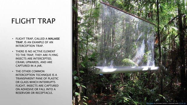 Common sampling techniques in insect pests | PPTX