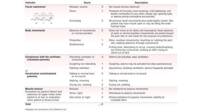 Common scales for Assesment/Treatment | PPTX | Brain and Nervous System ...