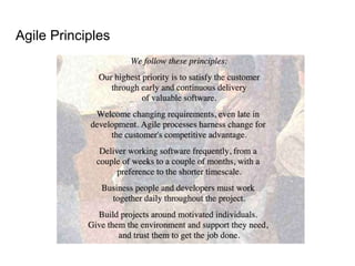 Common Sense Agile | PDF