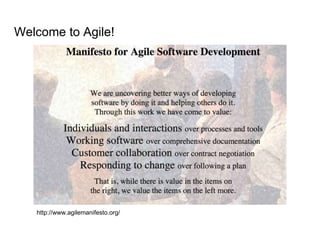 Common Sense Agile | PDF