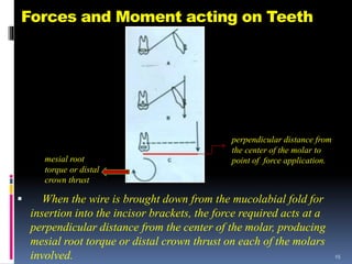 Common Sense Mechanics JC | PPTX | Dental Health | Diseases and Conditions