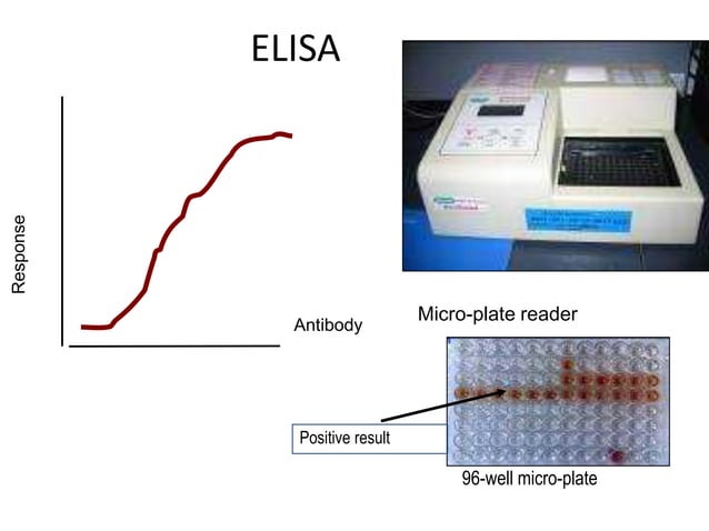 Common serology tests and their problems..pdf