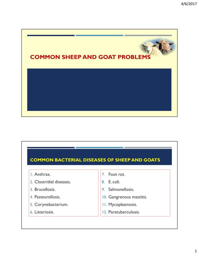 Common sheep and goat problems | PDF | Infectious Diseases | Diseases ...