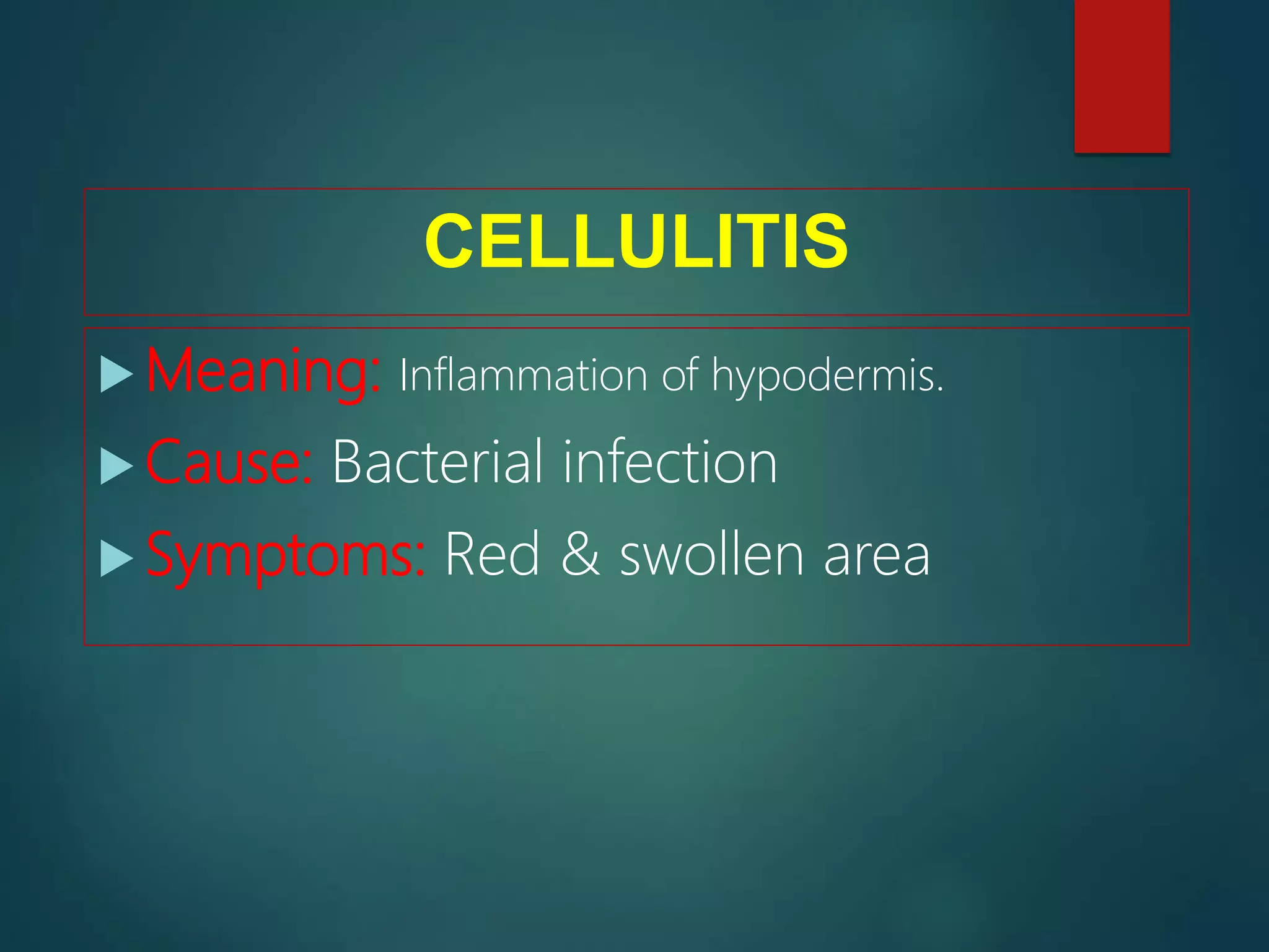 Common Skin Diseases | PPT