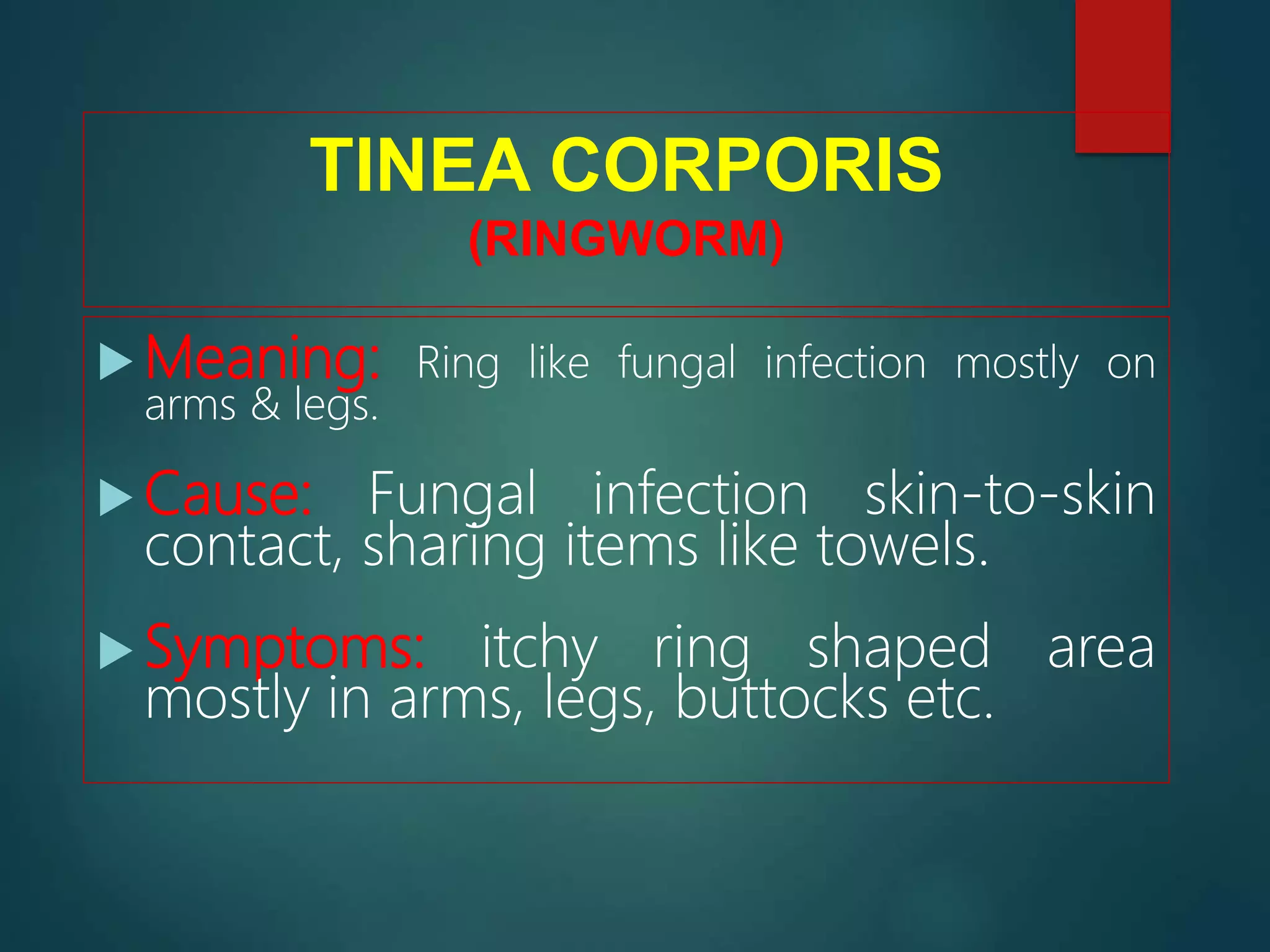 Common Skin Diseases | PPT