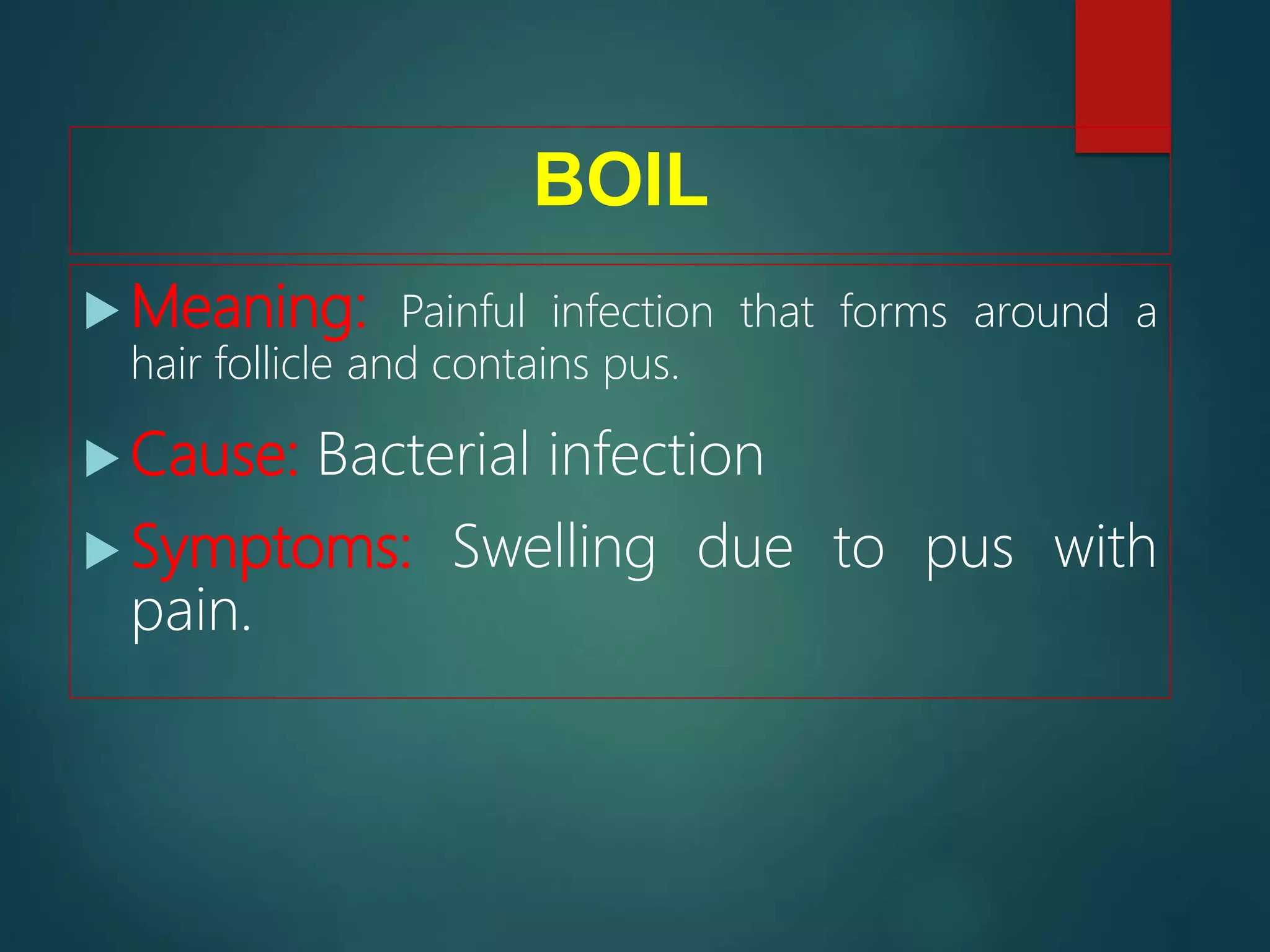 Common Skin Diseases | PPT