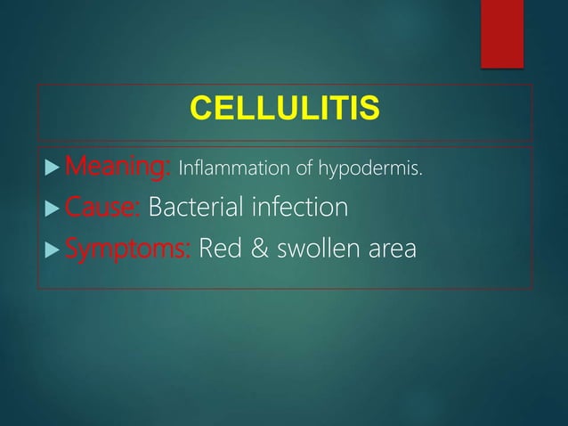 Common Skin Diseases | PPT