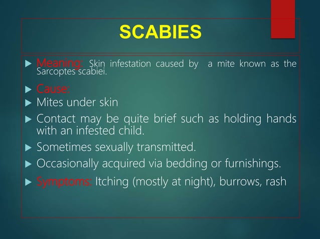 Common Skin Diseases | PPT