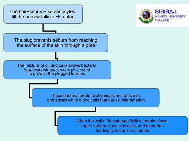 Common skin diseases | PDF | Skin and Dermatology | Diseases and Conditions