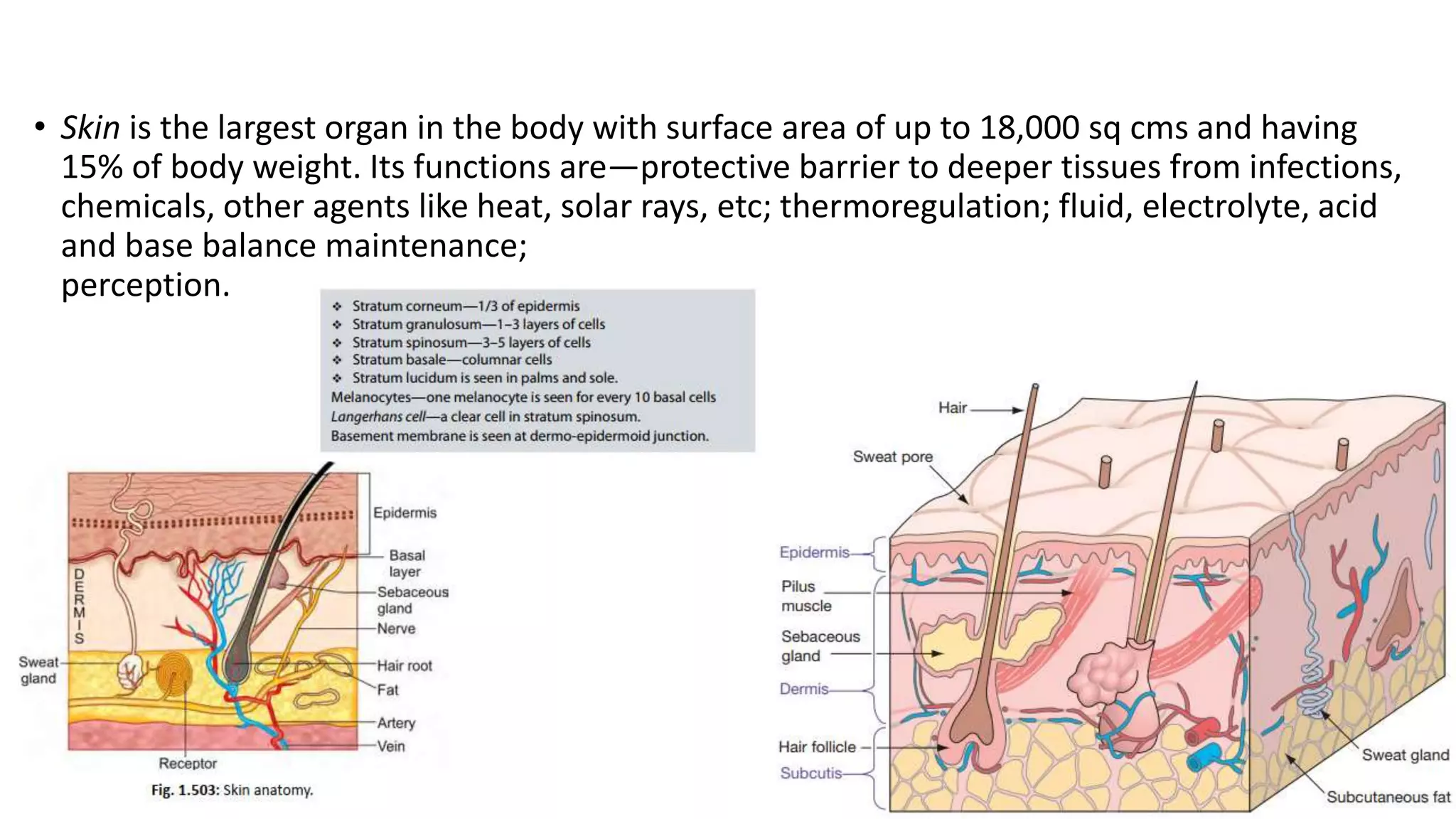 COMMON SKIN INFECTIONS IN CHILDREN.pptx