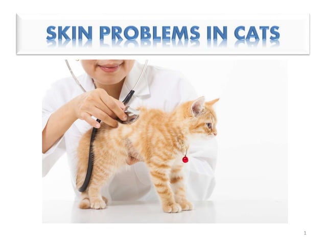 Common Skin Problems in Cats | PPTX