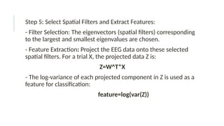 common spatial pattern of the brain.pptx