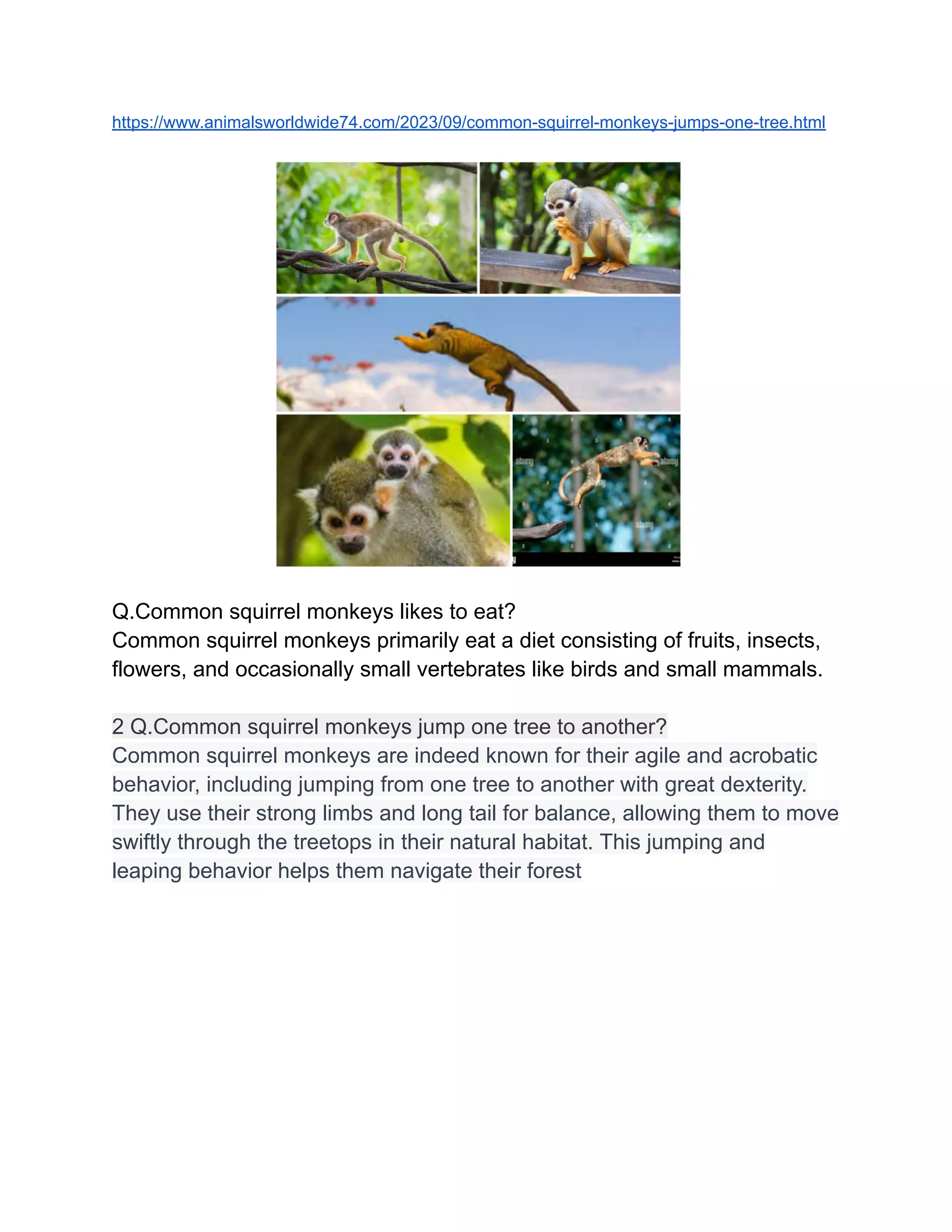 Common squirrel monkeys jumps one tree to another .pdf
