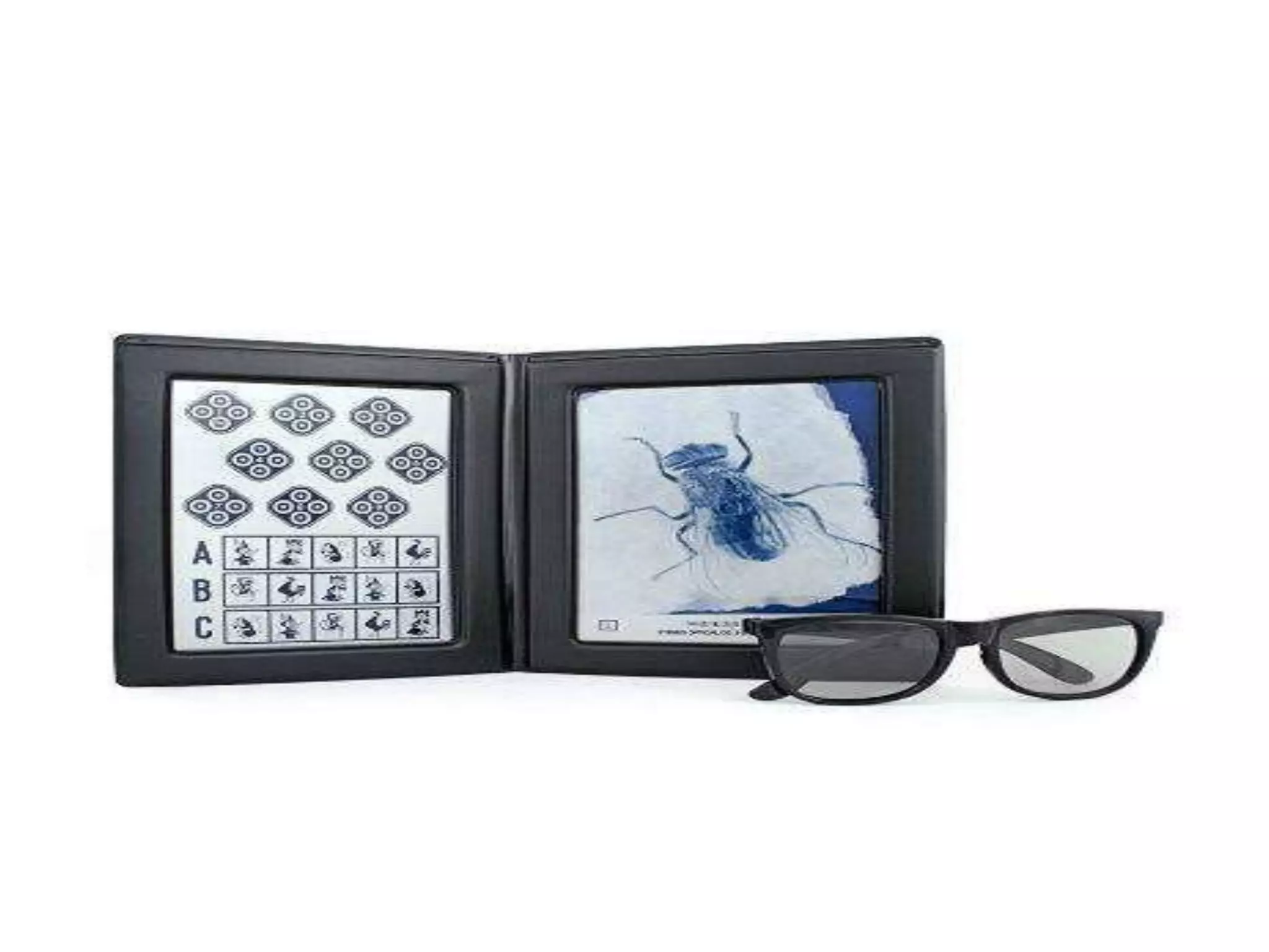 Common stereopsis test | PPT