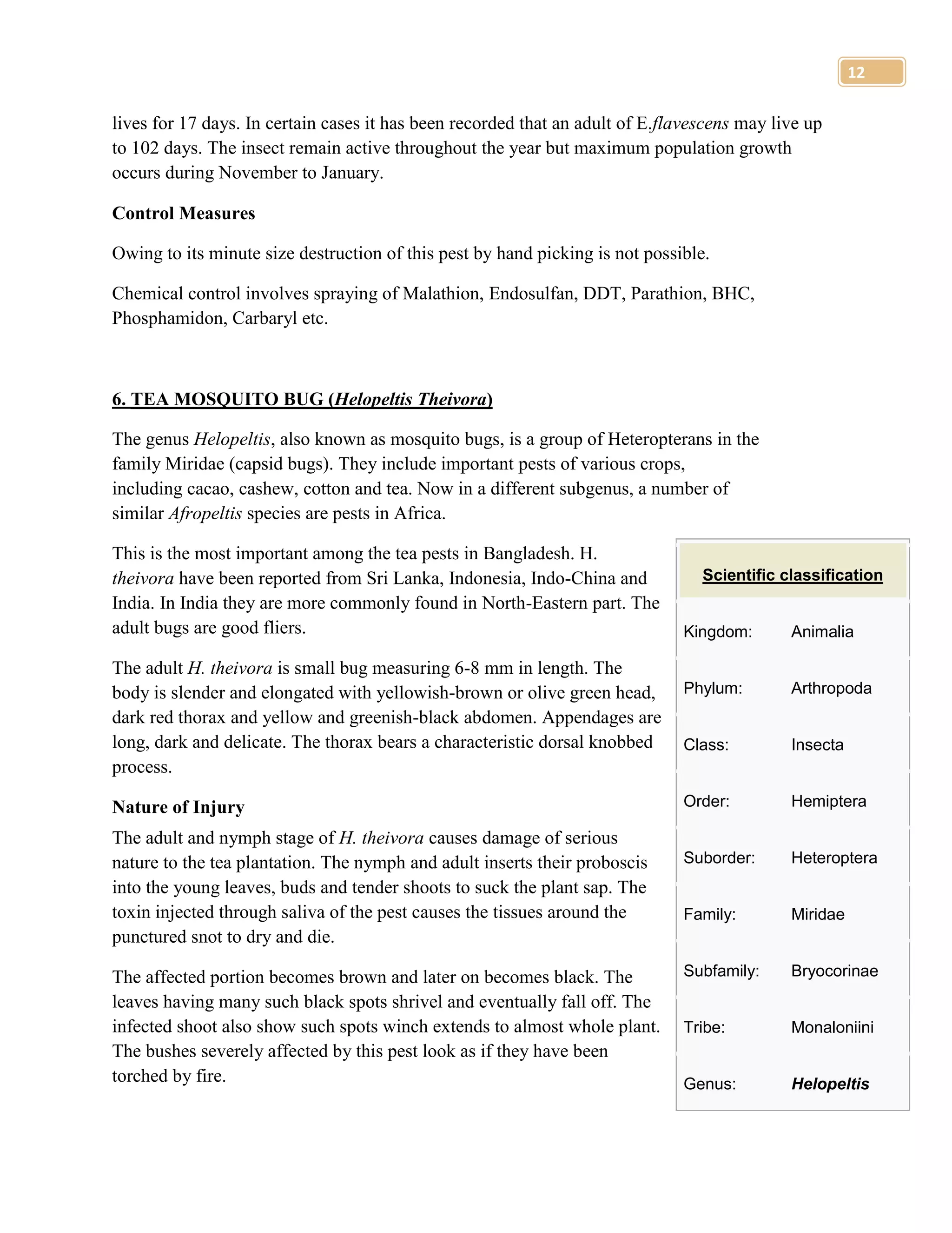 Common tea pests in bangladesh, their habit, Life Cycle & control ...