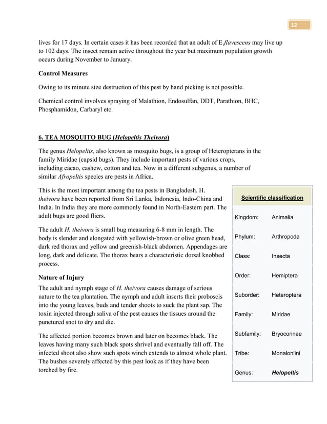 Common tea pests in bangladesh, their habit, Life Cycle & control ...