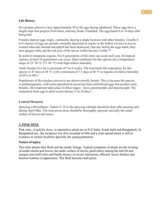 Common tea pests in bangladesh, their habit, Life Cycle & control ...