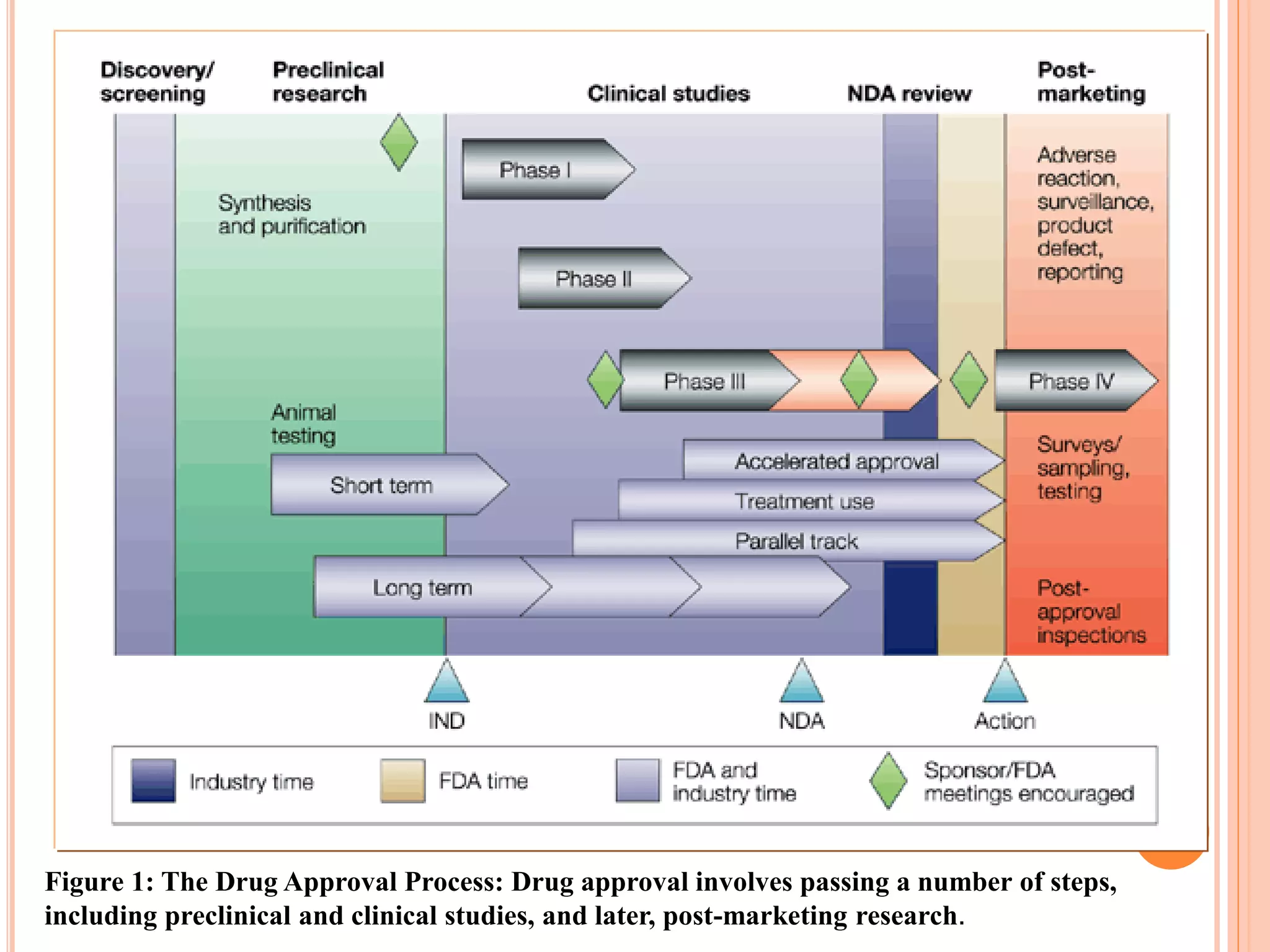 Common Technical Document | PDF