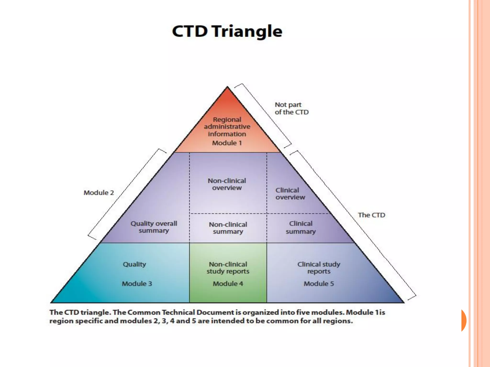 Common Technical Document | PDF