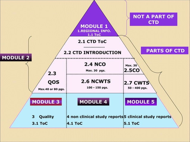 Common technical document | PPT
