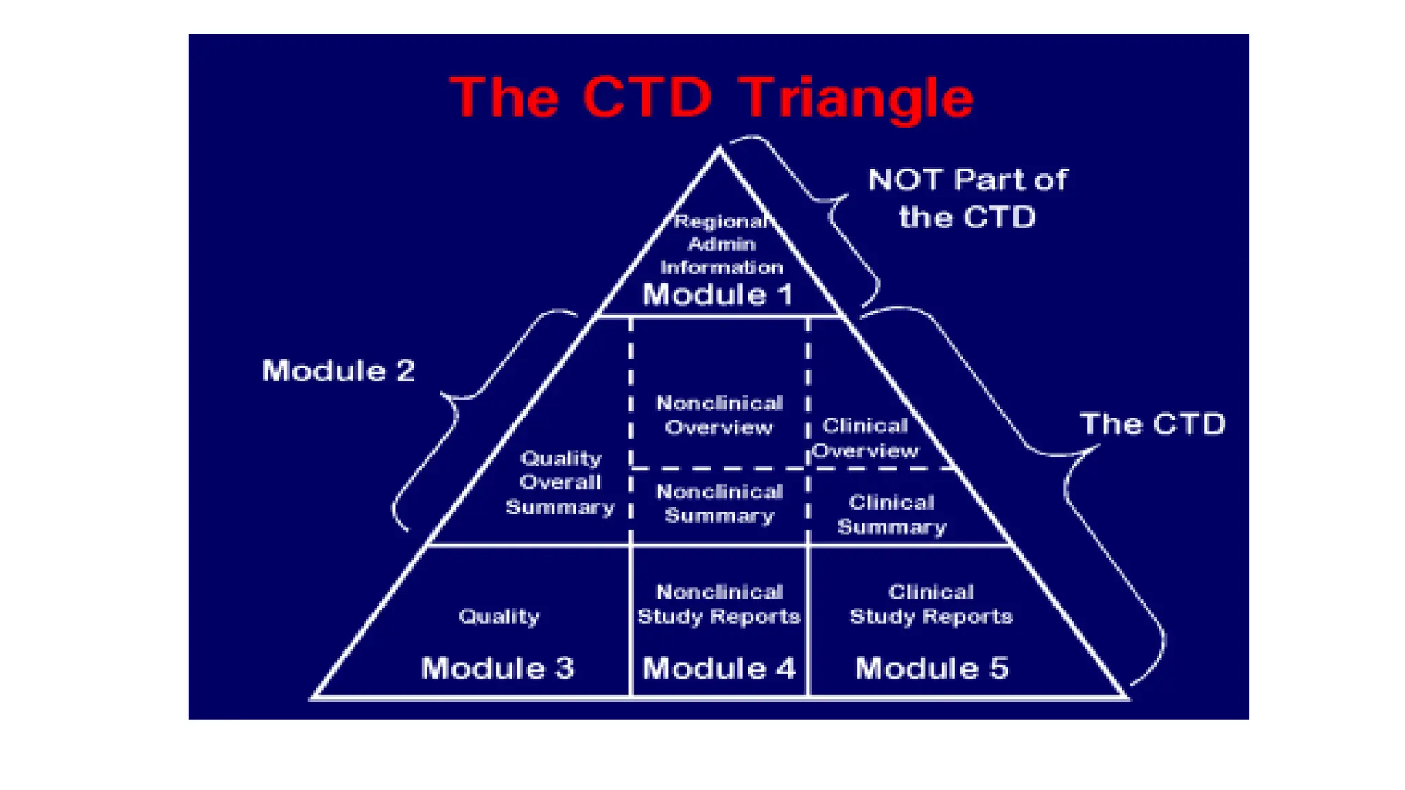 COMMON TECHNICAL DOCUMENT & ELECTRONIC COMMON TECHNICAL DOCUMENT.pptx