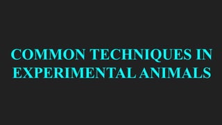 COMMON TECHNIQUES IN EXPERIMENTAL ANIMALS & ANIMAL HANDLING.pptx
