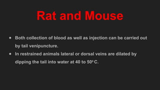 COMMON TECHNIQUES IN EXPERIMENTAL ANIMALS & ANIMAL HANDLING.pptx