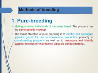 Common Terminology of Swine breeds and selection methods of sow .pptx