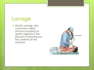 Common terms of the digestive system chapter8 | PPTX