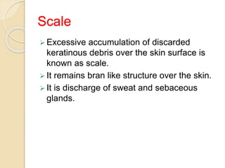 Common terms used in skin diseases. | PPT