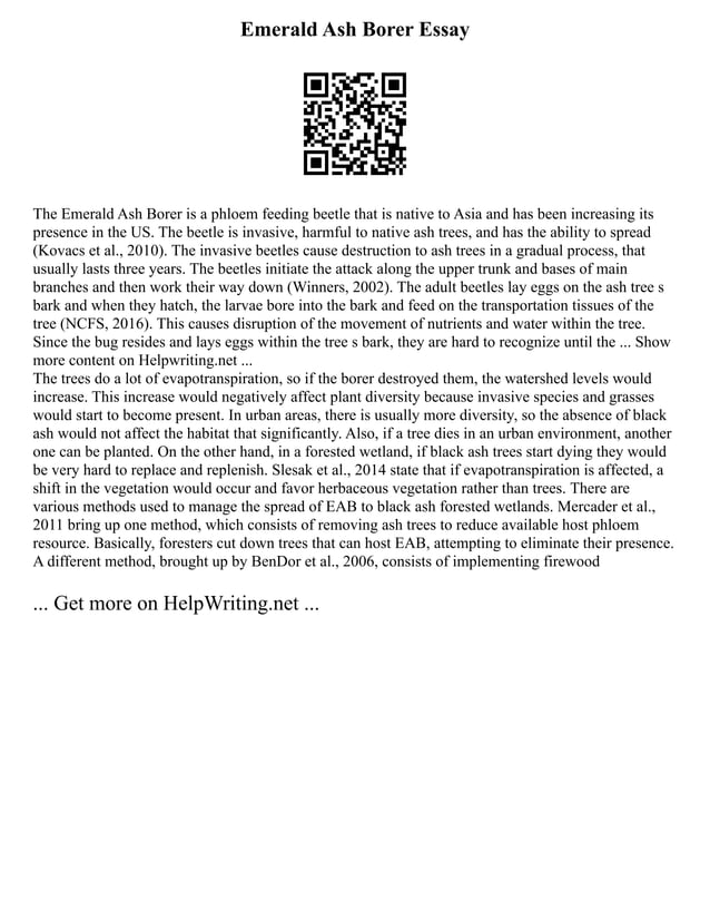 Common Transition Words Phrases In English ESL Buzz Best Essay ... | PDF