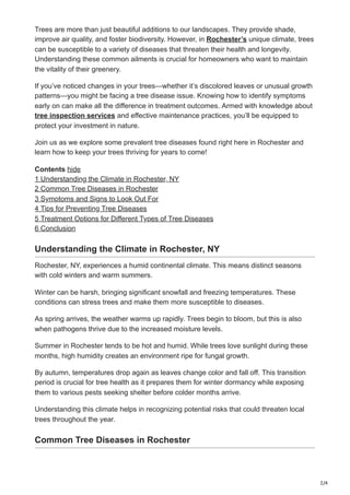 Common Tree Diseases in Rochester & How to Treat Them.pdf
