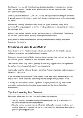 Common Tree Diseases in Rochester & How to Treat Them.pdf