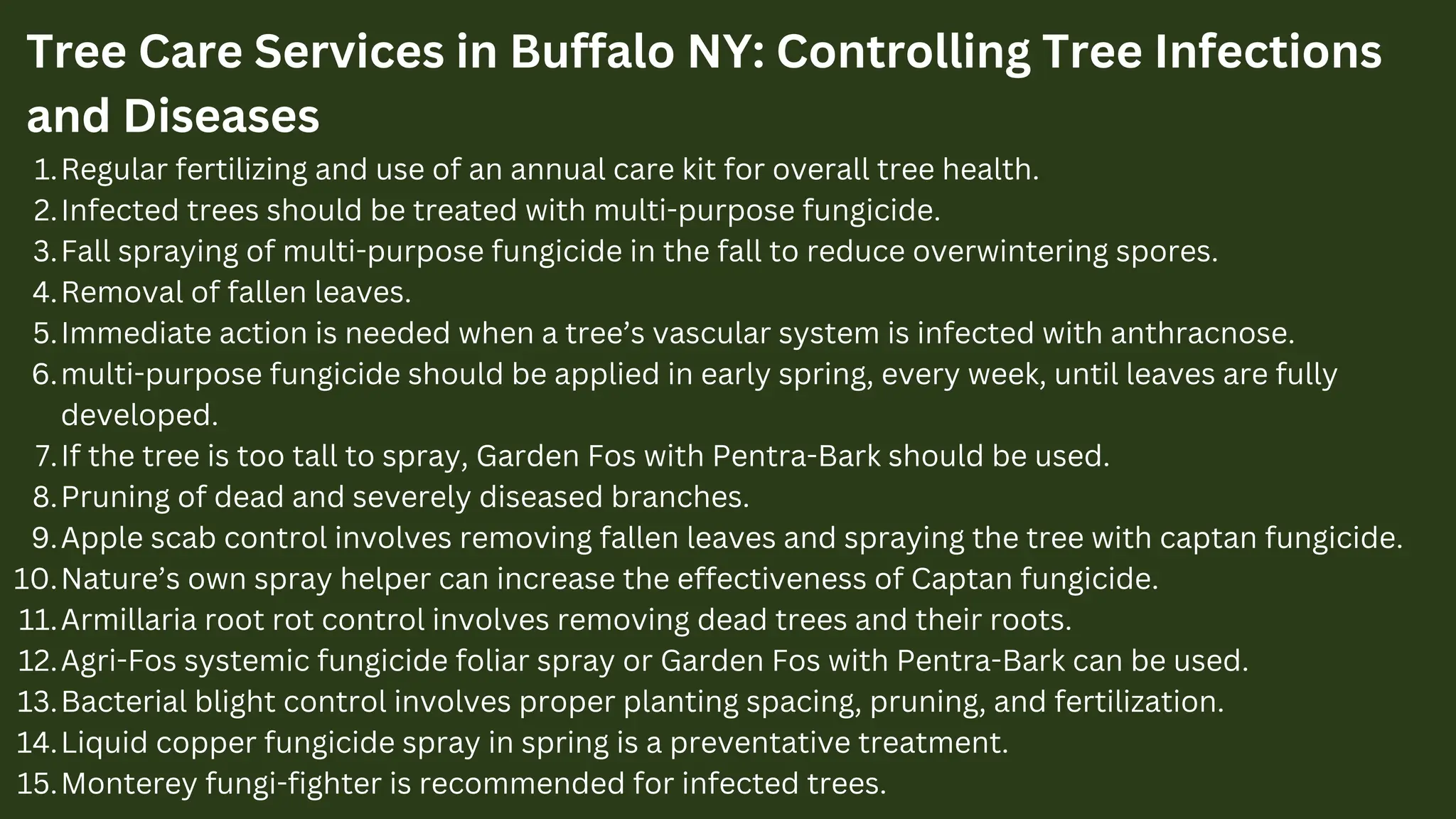 Common Tree Problems in Buffalo, NY & How Tree Services Helps | PPT