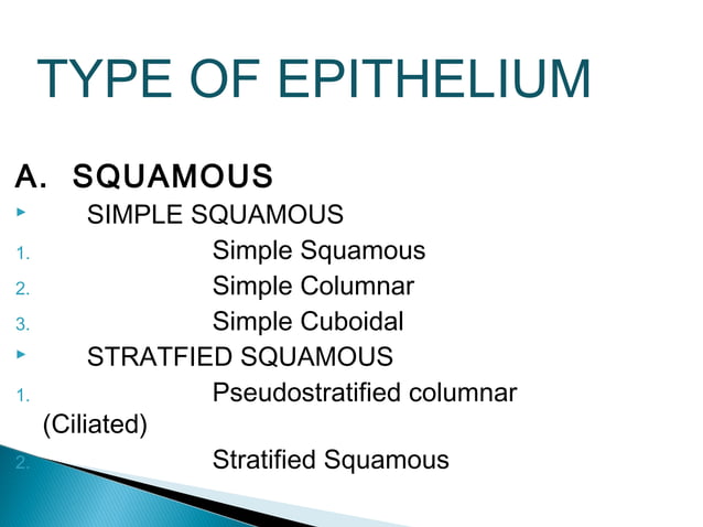 Common types of cells | PPT