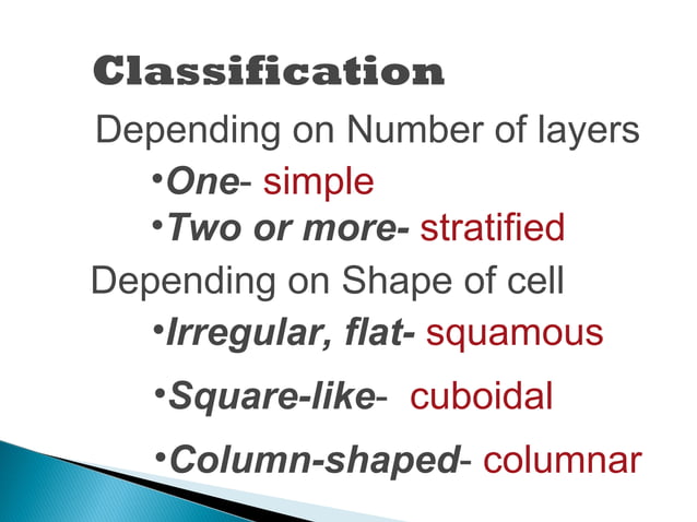 Common types of cells | PPT