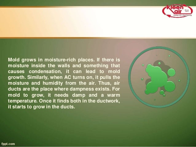 Common Types Of Mold Found In Air Ducts | PPT
