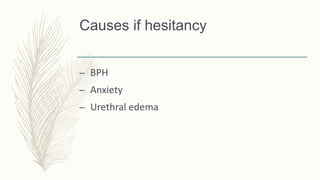 Common types of urinary alterations | PPTX