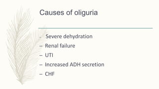 Common types of urinary alterations | PPTX