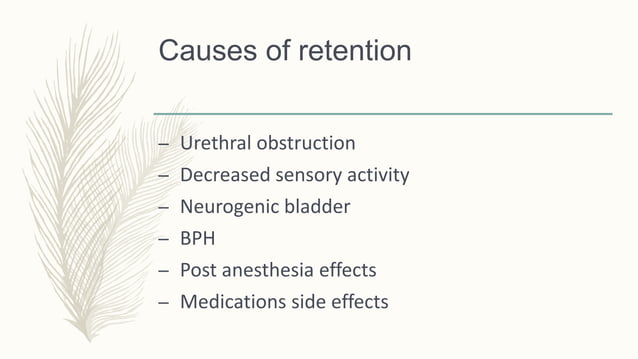 Common types of urinary alterations | PPT