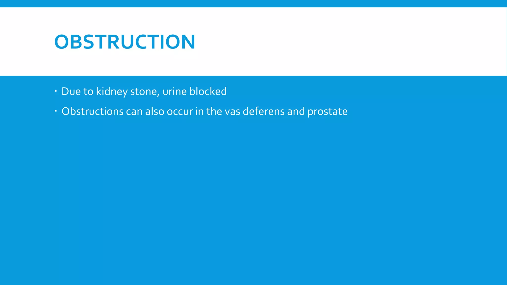 Common Urology Problems- Causes and Symptoms | PDF