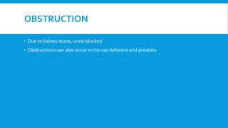 Common Urology Problems- Causes and Symptoms | PDF