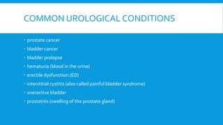 Common Urology Problems- Causes and Symptoms | PDF