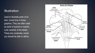 Common Uses of Textbook Graphics | PPTX